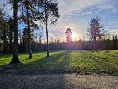 Best Hikes and Trails in Donadea Forest Park | AllTrails