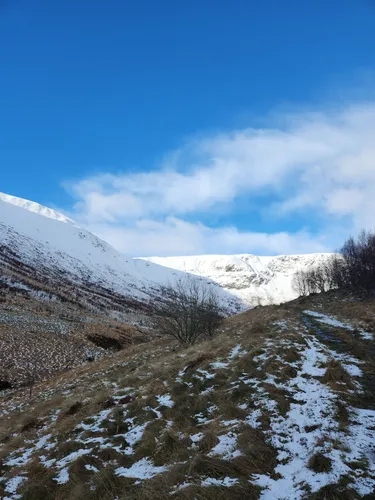 Best Hikes and Trails in Carrifran Wildwood | AllTrails