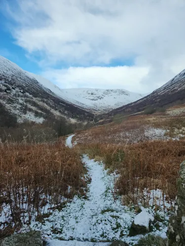 Best Hikes and Trails in Carrifran Wildwood | AllTrails