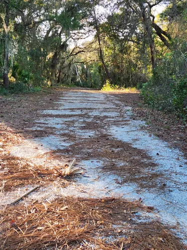 Best Hikes and Trails in North Anclote River Nature Park | AllTrails
