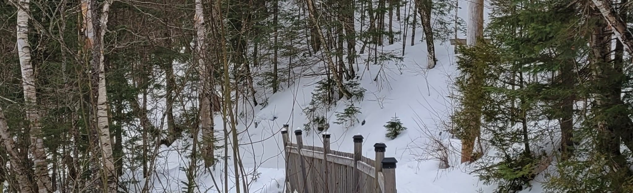 Norm's Cabin Trail: 7 Reviews, Map - Ontario, Canada | AllTrails