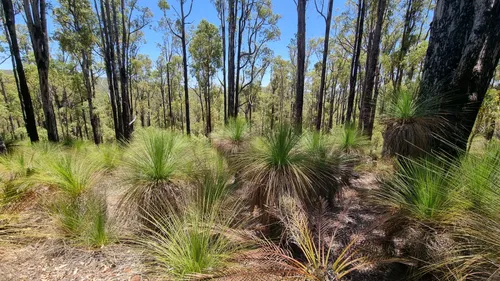 10 Best Hikes and Trails in Lane Poole Reserve | AllTrails