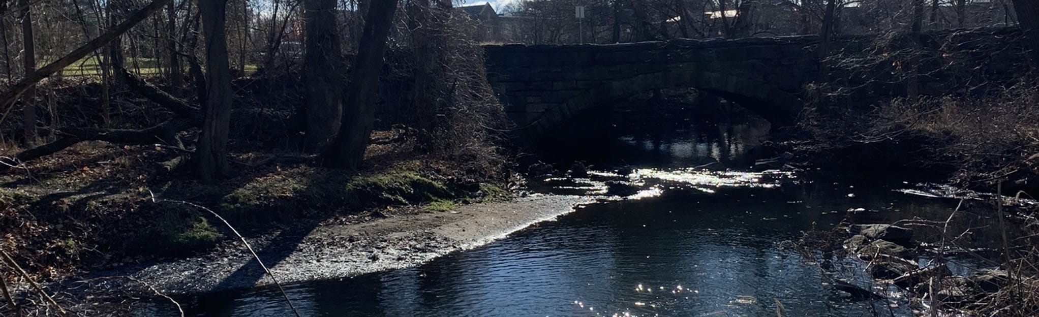 Rye Nature Center Trail: 38 Reviews, Map - New York | AllTrails