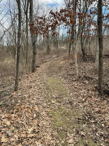 Best Hikes and Trails in East Hanover Nature Park | AllTrails