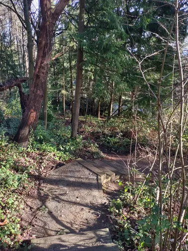 Best Hikes and Trails in Mathison Park | AllTrails