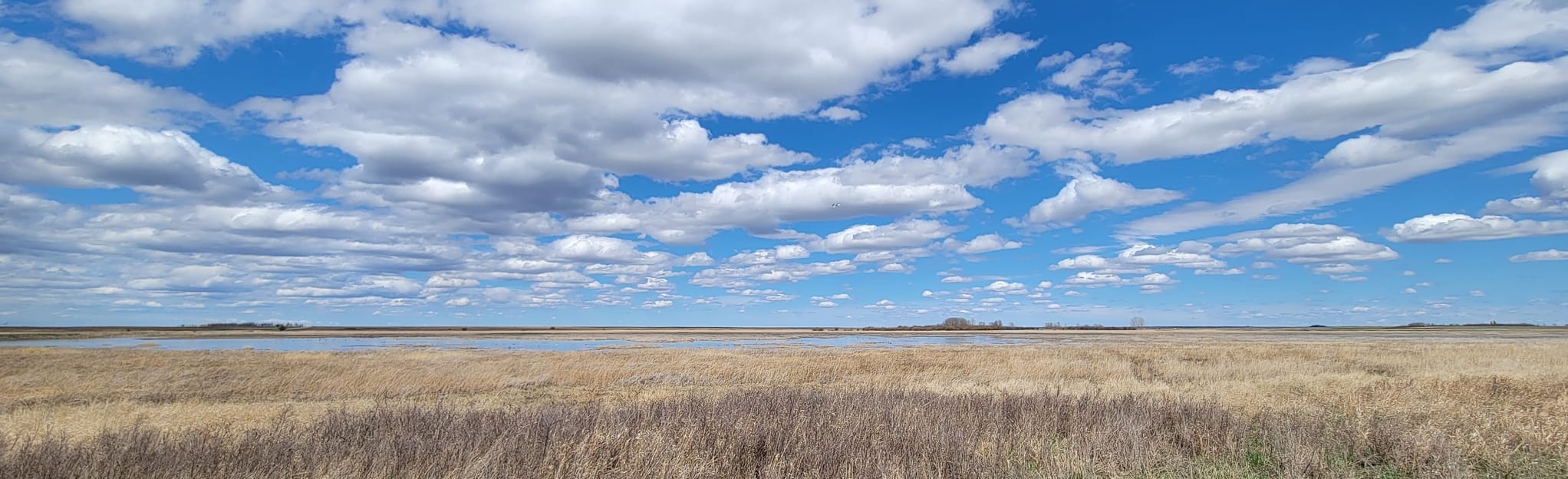 Wetlands Nature Trail, Saskatchewan, Canada - 9 Reviews, Map | AllTrails