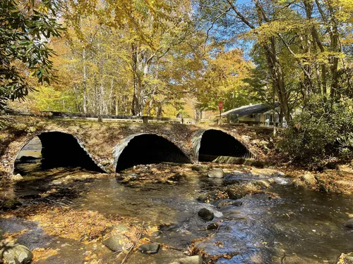 Best River Trails in Roan Mountain State Park | AllTrails