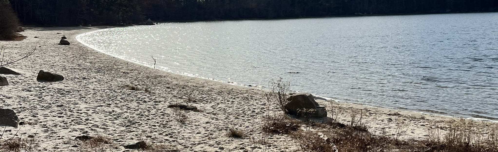 Flax Pond - Massachusetts | AllTrails