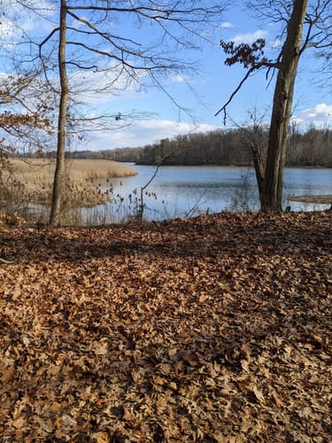 Best Hikes and Trails in Bohemia River State Park | AllTrails