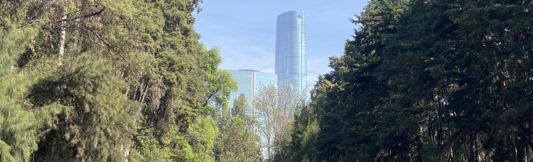 Viveros de Coyoacán: 35 Fotos - State of Mexico, Mexiko | AllTrails