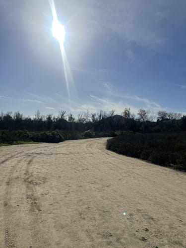 Best Hikes and Trails in Kit Carson Park | AllTrails