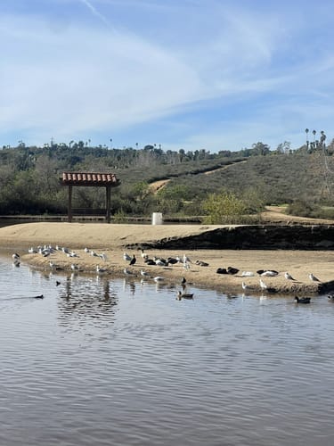 Best Hikes and Trails in Kit Carson Park | AllTrails