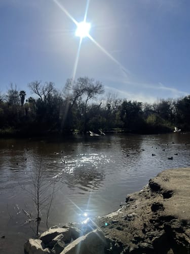 Best Hikes and Trails in Kit Carson Park | AllTrails