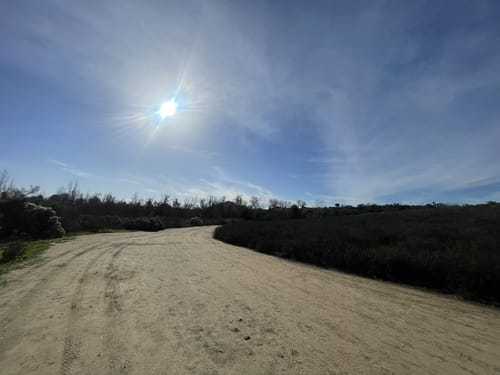 Best Hikes and Trails in Kit Carson Park | AllTrails