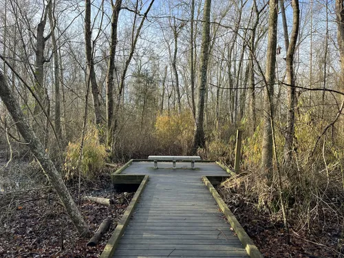 10 Best Trails and Hikes in Suffolk | AllTrails