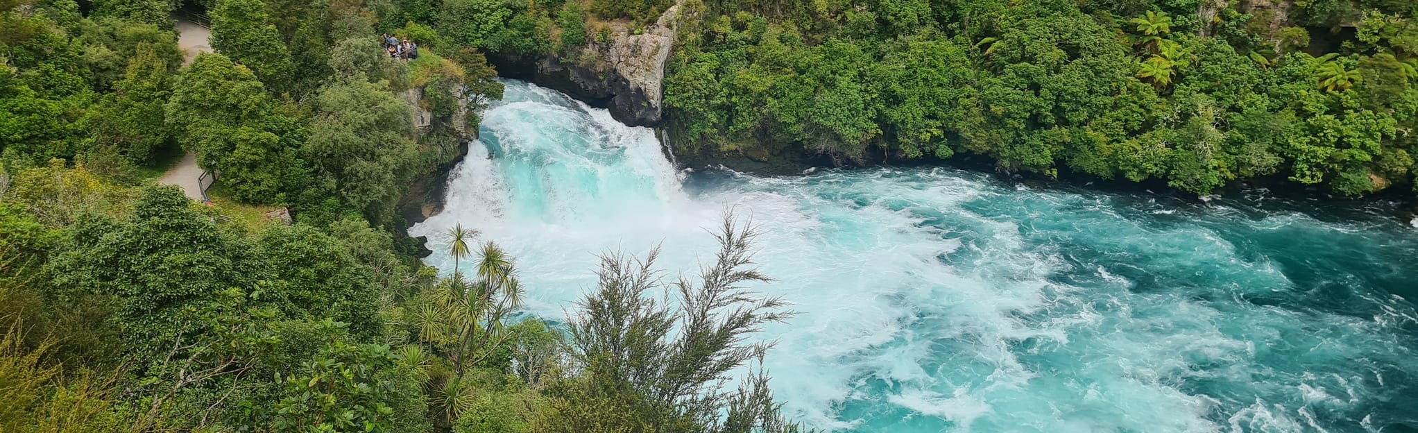Huka Falls Loop, Waikato, New Zealand - 195 Reviews, Map | AllTrails
