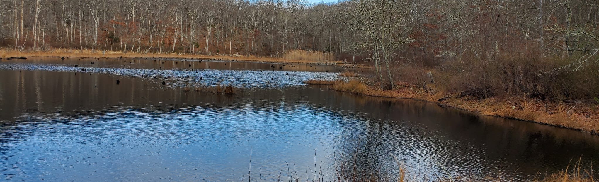 North South Trail: Charlestown to Wood River Junction: 79 Reviews, Map ...