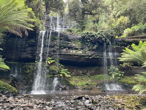 10 Best Walking Trails in Mount Field National Park | AllTrails