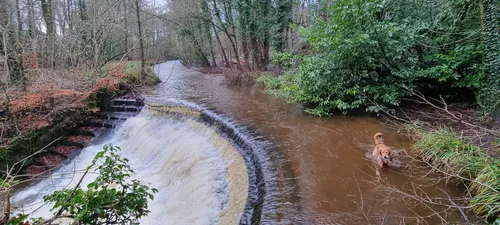 10 Best Trails, Walks, and Paths in Wrexham | AllTrails