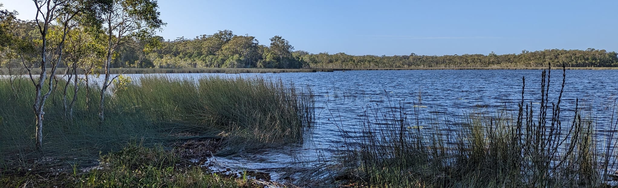 Ferny Forest MTB Loop: 32 foto's - Queensland, Australië | AllTrails