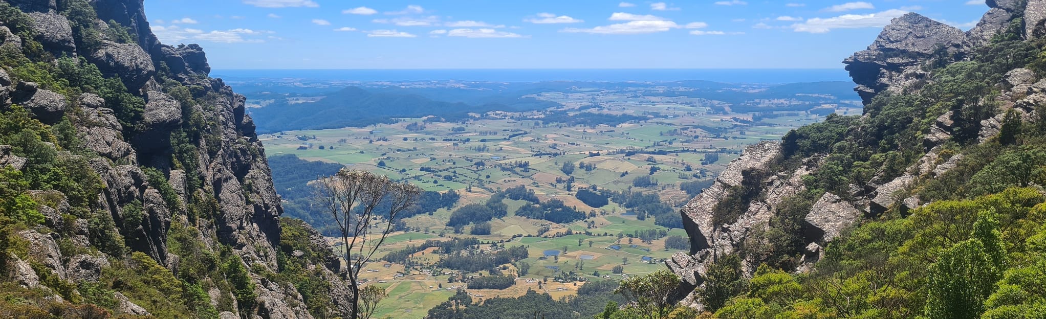 Mount Roland Face Track, Tasmania, Australia - 109 Reviews, Map | AllTrails