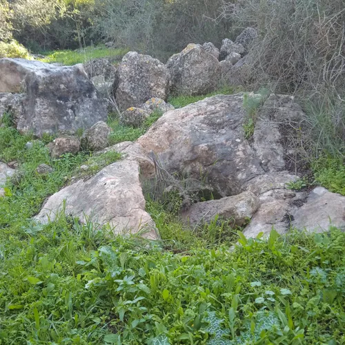 Best Hikes and Trails in Yishai Forest | AllTrails