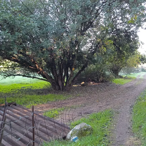 Best Hikes and Trails in Yishai Forest | AllTrails