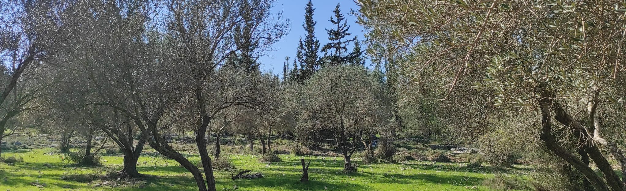 Modiin to Tel Aviv via Shoham, Central District HaMerkaz, Israel - 2 ...