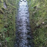 Ravenna Gorge Trail, Baden-Wuerttemberg, Germany - 332 Reviews, Map ...