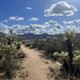 Bartlett Reservoir Trail , Arizona - 219 Reviews, Map | AllTrails