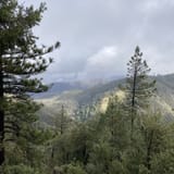 Figueroa Mountain, California - 266 Reviews, Map | AllTrails
