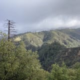 Figueroa Mountain, California - 266 Reviews, Map | AllTrails