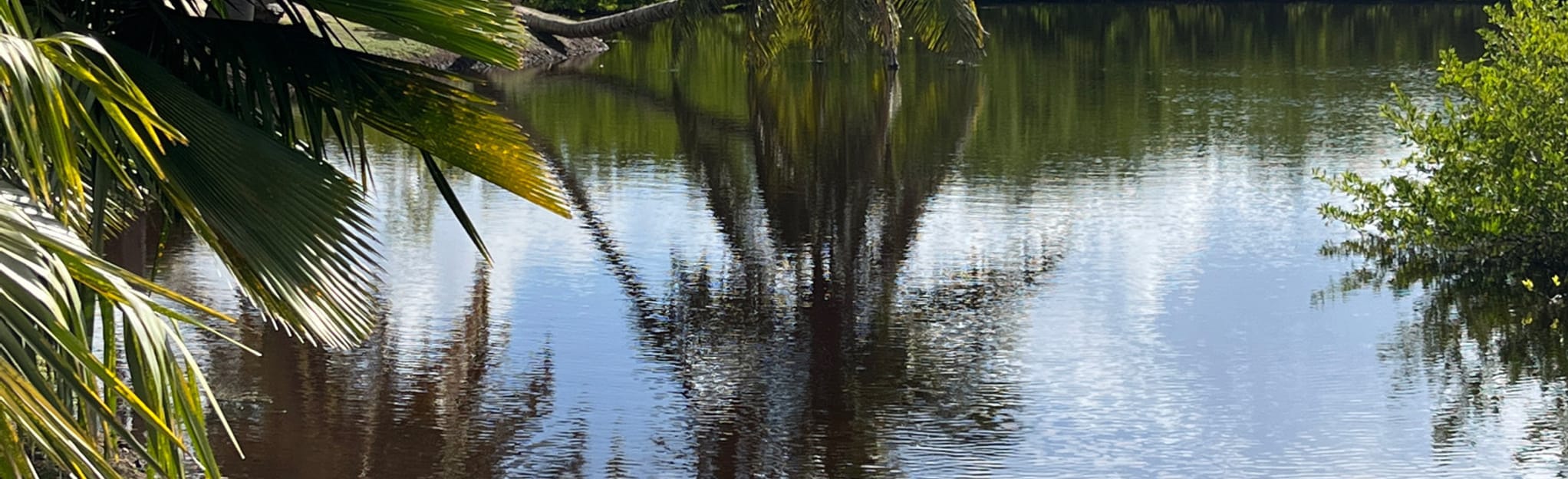 Queen Elizabeth II Botanic Park, Cayman Islands, Cayman Islands - 24 ...