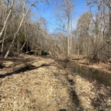 Berryman and Ozark Trail Loop, Missouri - 288 Reviews, Map | AllTrails