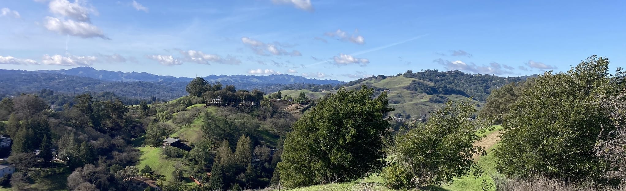 Acalanes South Trail, California - 485 Reviews, Map | AllTrails