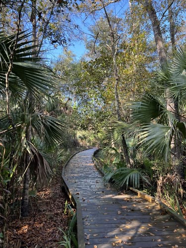 Best Hikes and Trails in Apalachicola National Estuarine Research ...
