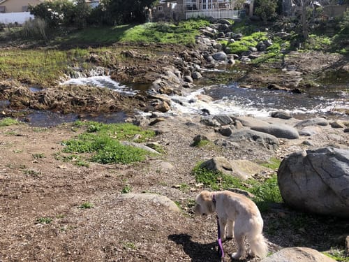 Best Hikes and Trails in Poway Community Park | AllTrails