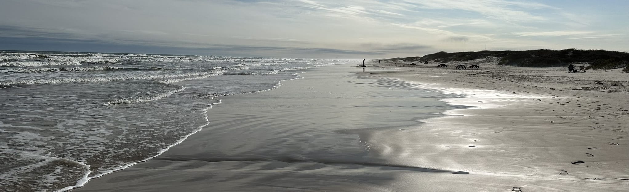 AllTrails | Padre Island National Seashore: 31 Reviews, Map - Texas