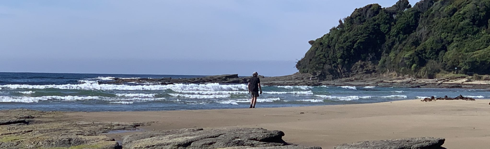 Papatowai Scenic Reserve Track: 10 Reviews, Map - Otago, New Zealand ...