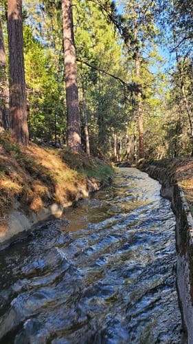 2023 Best River Trails in Twain Harte | AllTrails