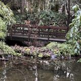 Belknap Hot Springs Resort, Oregon - 59 Reviews, Map | AllTrails