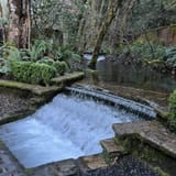 Belknap Hot Springs Resort, Oregon - 59 Reviews, Map | AllTrails