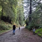 McKay Community Forest Trail, California - 109 Reviews, Map | AllTrails