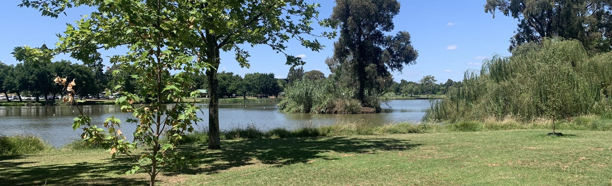 Bendigo Creek Trail via Lake Weeroona, Victoria, Australia - 26 Reviews ...