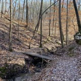 Tree Top Nature Trail, Alabama - 261 Reviews, Map | AllTrails