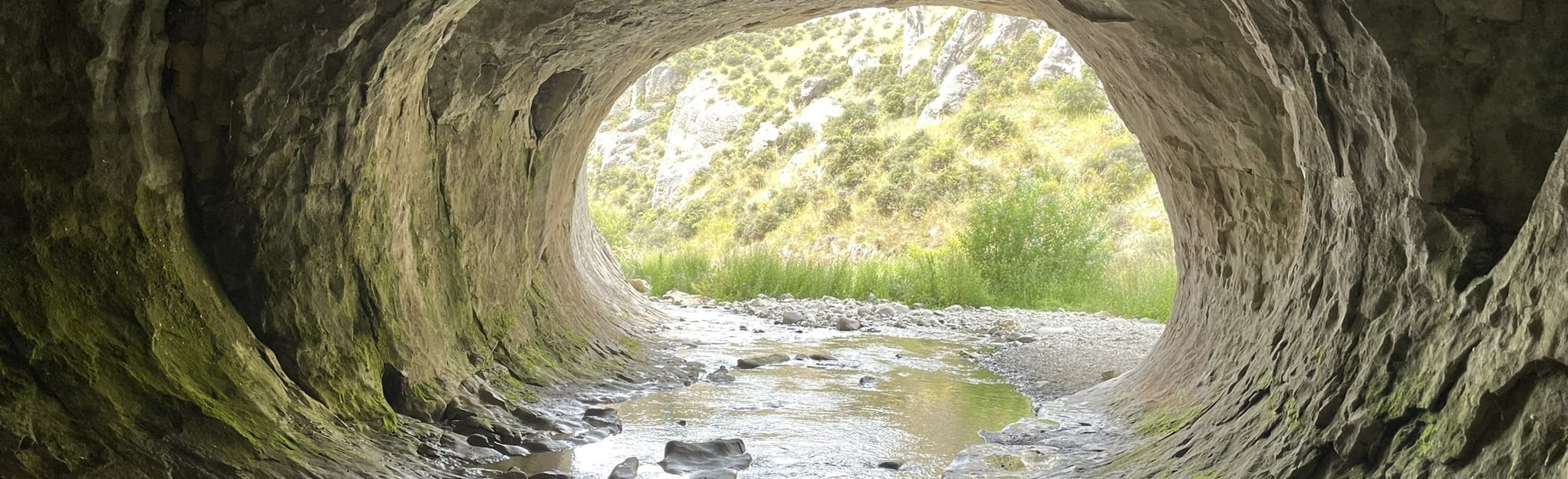 Cave Stream Loop Track, Canterbury, New Zealand - 89 Reviews, Map ...