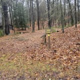 Cook Trail, Pennsylvania - 162 Reviews, Map | AllTrails