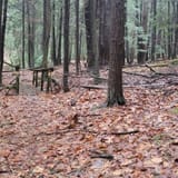 Cook Trail, Pennsylvania - 162 Reviews, Map | AllTrails