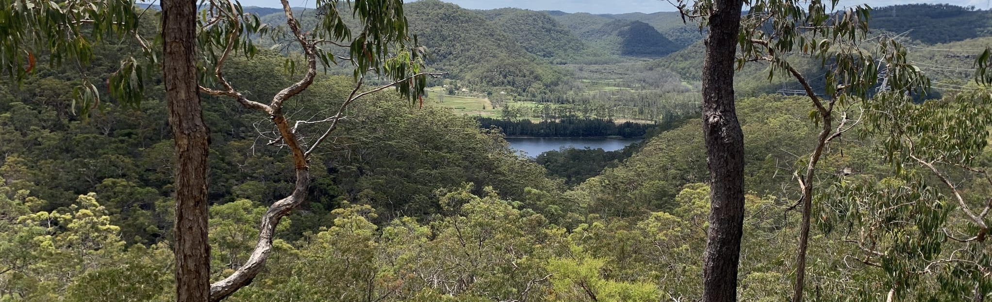 Simpsons Hill Trail: 26 Fotos - New South Wales, Australien | AllTrails