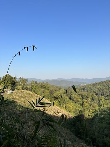 Best Hikes and Trails in Mae Wang National Park | AllTrails